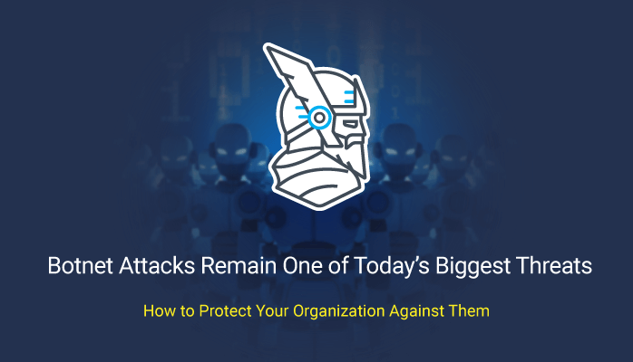 How to Prevent a Botnet Attack from Compromising Your Business