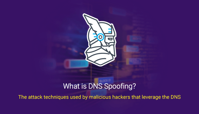 What is DNS Spoofing and How Can You Prevent It from Happening to You?