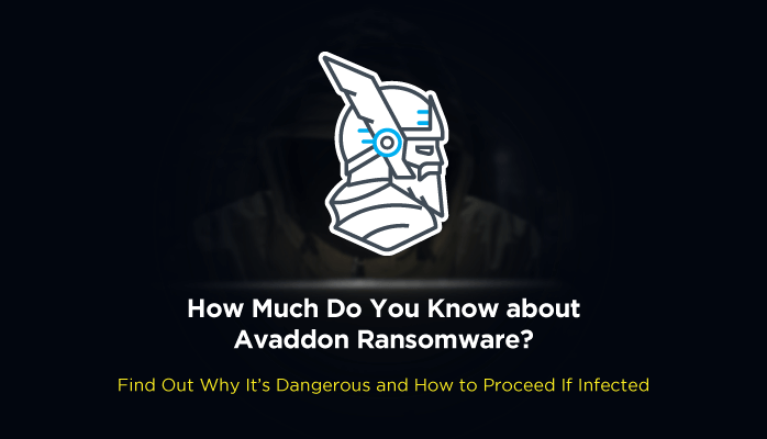 Avaddon Ransomware: History, Targets and Prevention Strategy