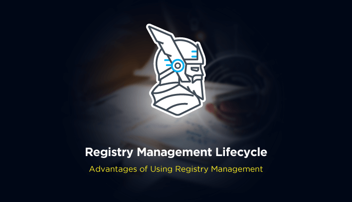 What Is Registry Management and Why Is It Important?