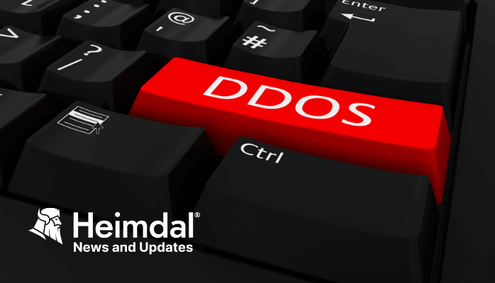 DDoS-as-a-service attacks. What Are They and How Do They Work?