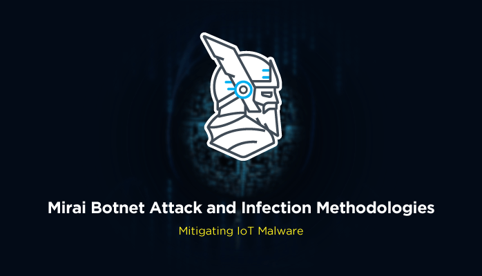 A Technical Analysis of the Mirai Botnet Phenomenon