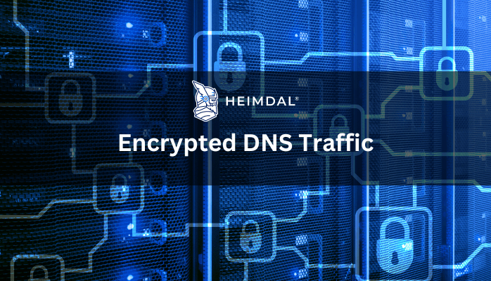 What Is Encrypted DNS Traffic 